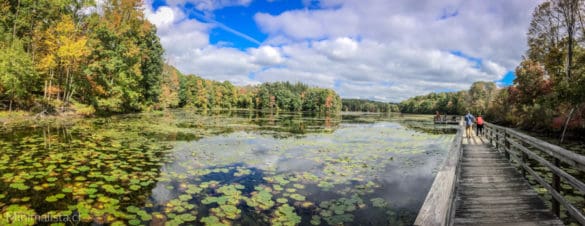 12 Things to Do in Ossining with Kids (or Without) | InOssining.com